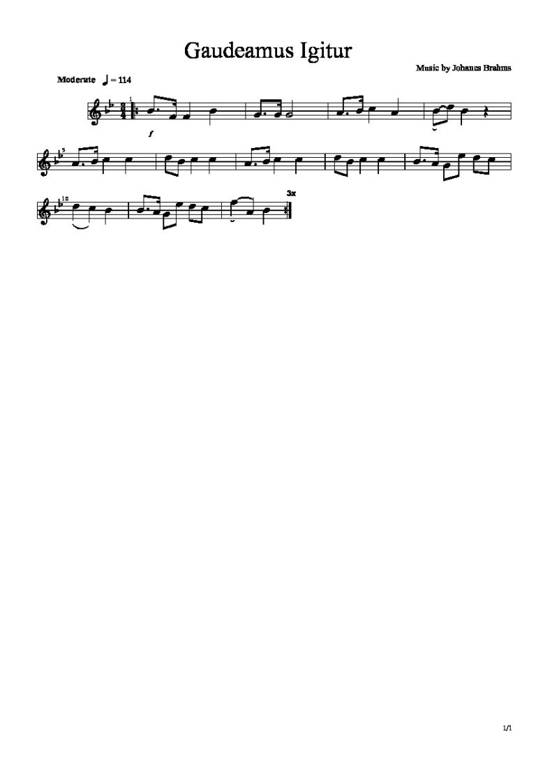 Gaudeamus igitur english translation - pohys